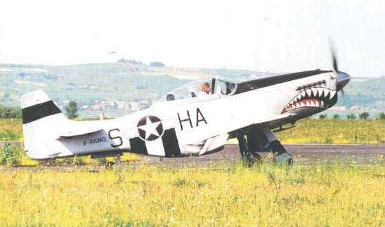 BOEVE P-51 Mustang MJ7 — ICAO Type Designator L1P L/G